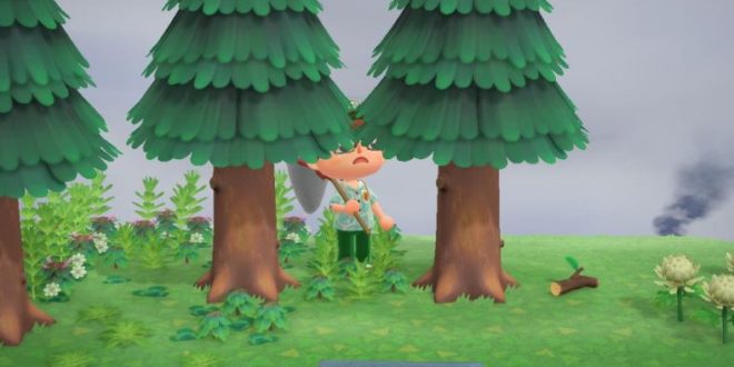 How to catch spiders in Animal Crossing: New Horizons and earn more ...