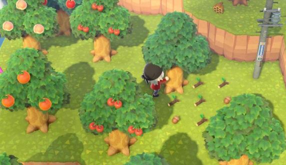 Here's the easiest way to get acorns in Animal Crossing: New Horizons