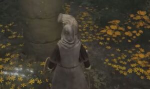 Elden Ring: White Faced Varre Questline