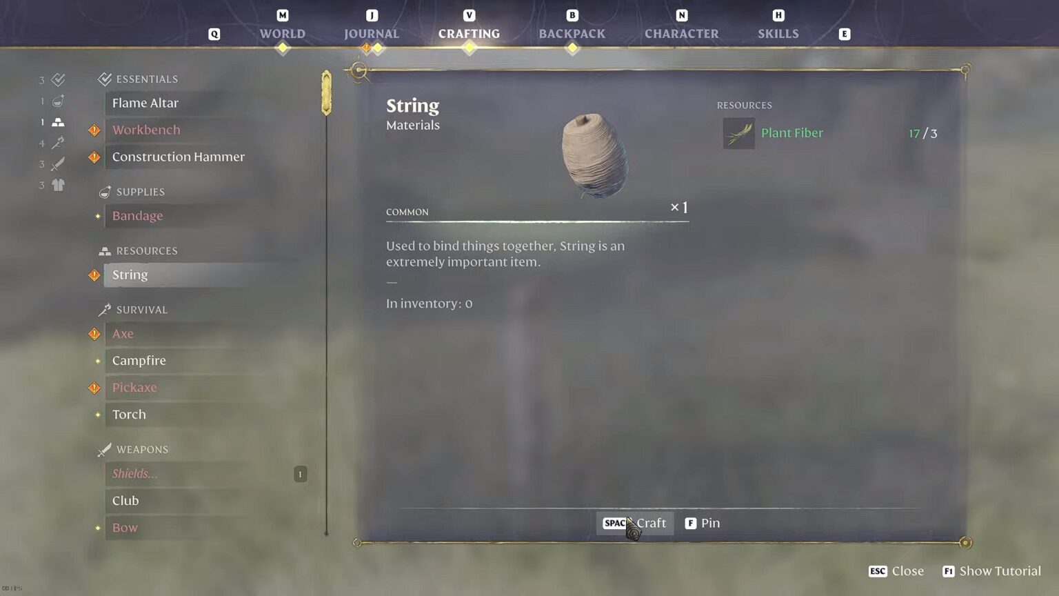 Enshrouded: How to Get String