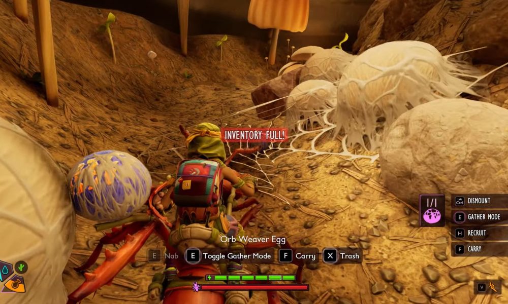 Where to Find the Orb Weaver Egg in Grounded 2