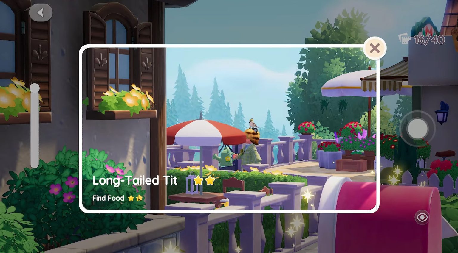 All Birds Locations in Heartopia