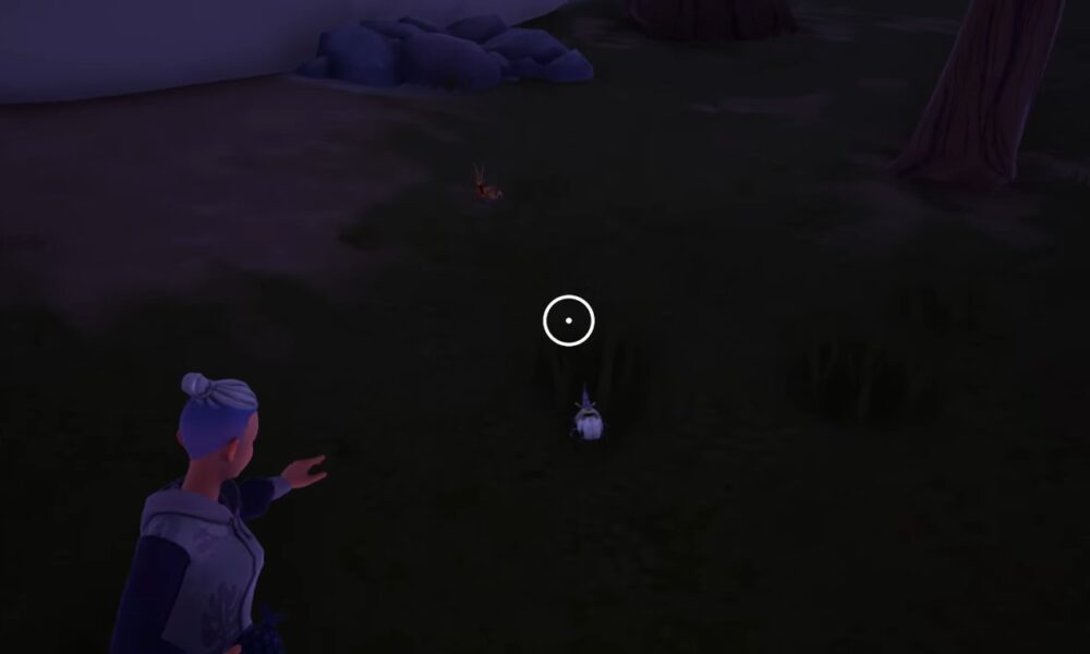 Palia: Where to Find Briar Daisy